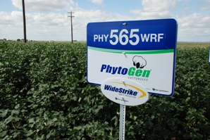 Phytogen Builds Market Share - Cotton Grower