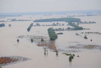 Mid-South Growers Deal with Flood Damages - Cotton Grower