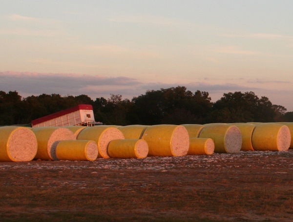 A Smarter Approach to Cotton Modules - Cotton Grower