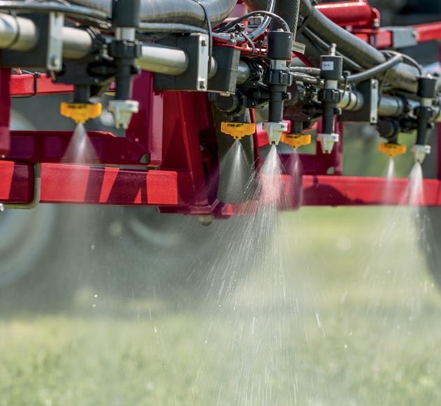 Italian Ryegrass Moves the Burndown Bullseye - Cotton Grower