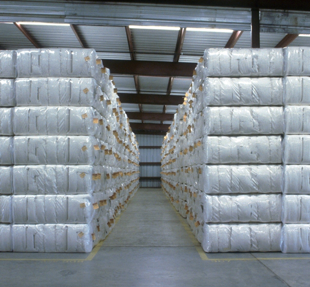 ICE Futures: World Cotton Contract Begins November 2 - Cotton Grower