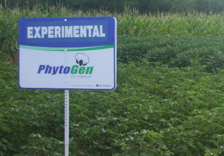 PhytoGen Releasing First Enlist Cotton Variety for 2016 - Cotton Grower