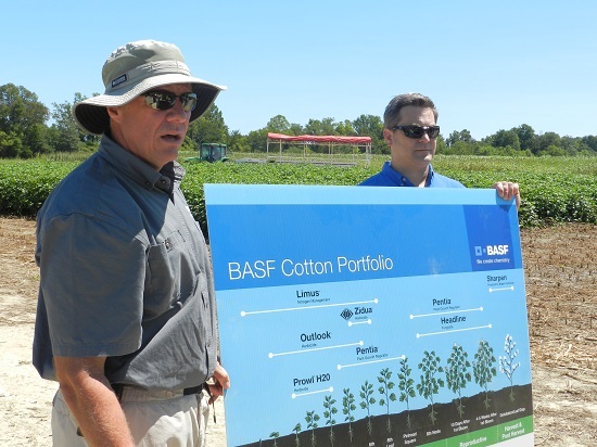 BASF Expands Grow Smart Program - Cotton Grower