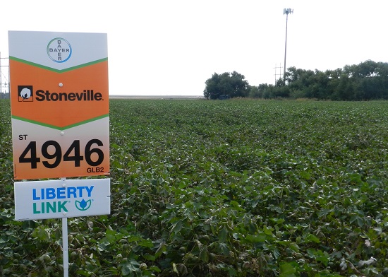 2016 Seed Showcase – Bayer CropScience - Cotton Grower