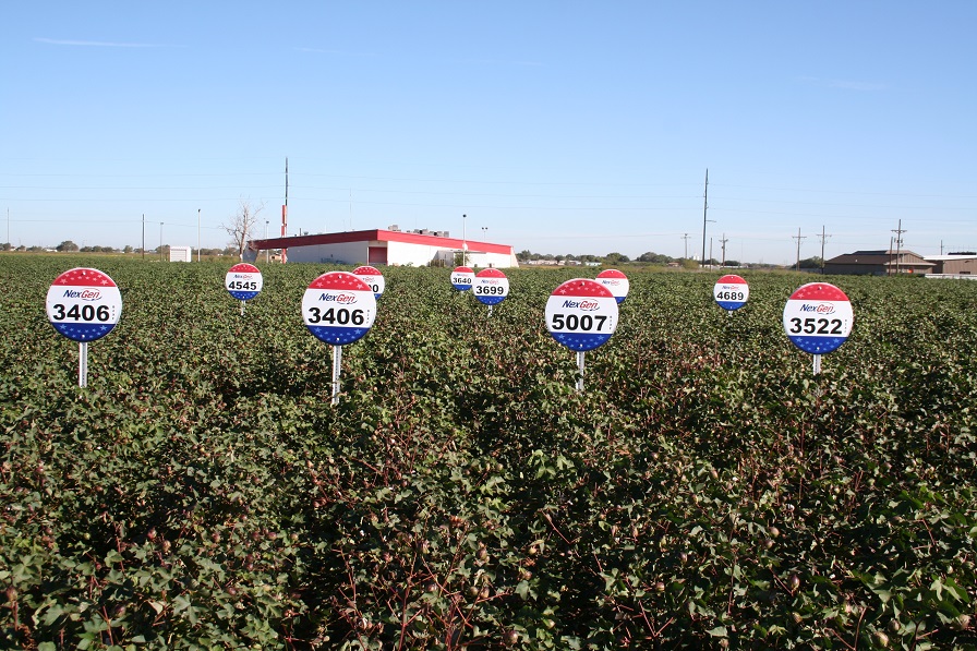 Americot Offers New XtendFlex Cotton Varieties for 2017 - Cotton Grower
