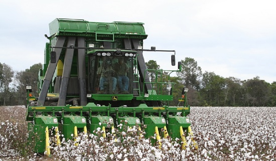 Crop Progress: Harvest Kicks Off in More States - Cotton Grower