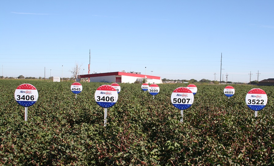 Americot Team Continues to Grow - Cotton Grower