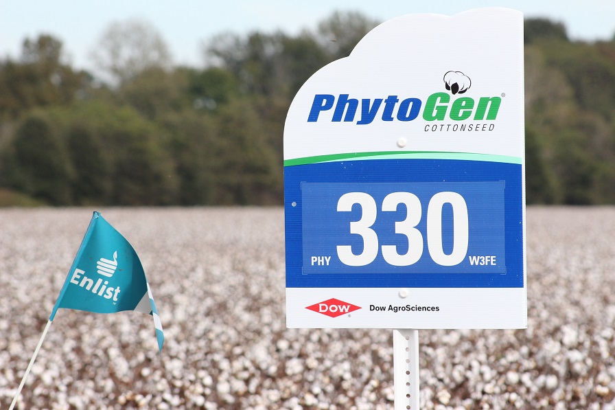 PhytoGen Tops Extension Trials Across the Cotton Belt - Cotton Grower