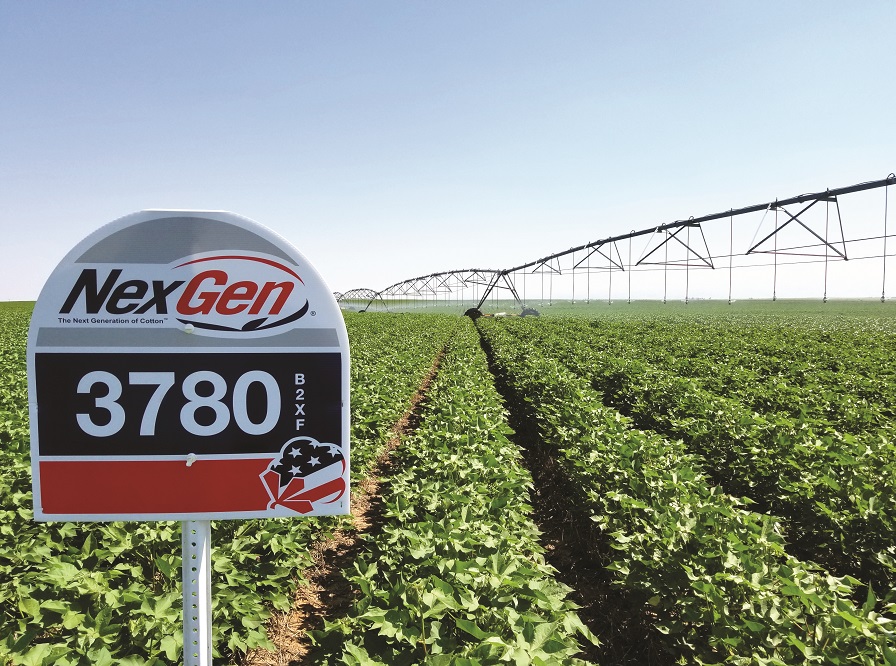 Americot Offers Rebates for Qualifying Seed & Chemical Purchases ...