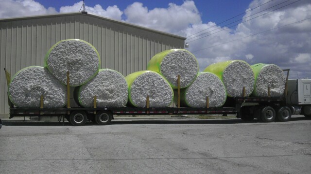 Deadline Approaching for Seed Cotton Program Decisions - Cotton Grower