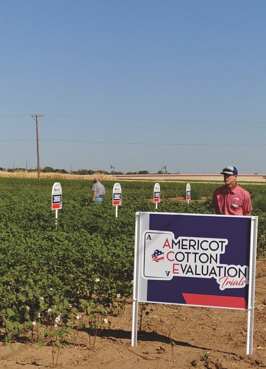 Americot Adds Three New NexGen Varieties for 2021 - Cotton Grower