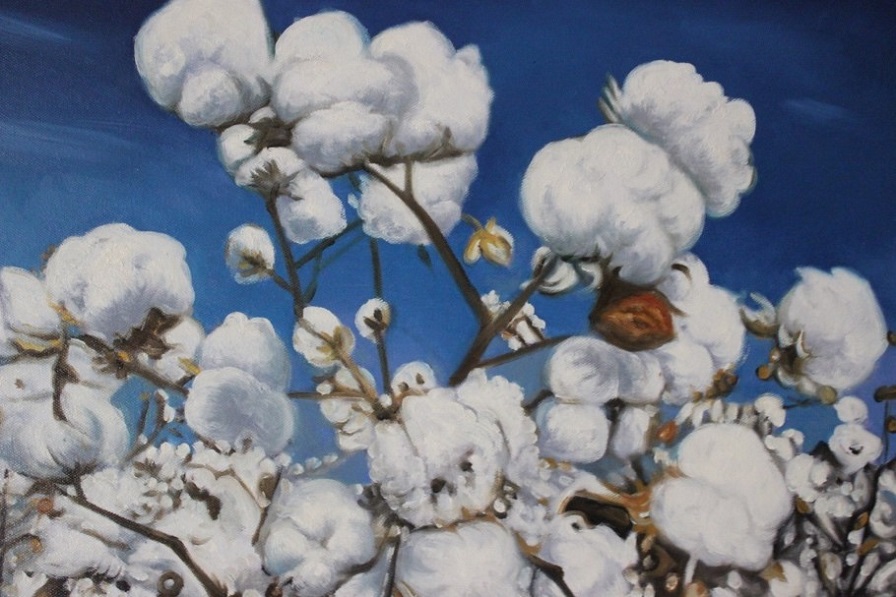 Texas Couple’s Passion for Cotton Earns BASF Catalog Cover - Cotton Grower
