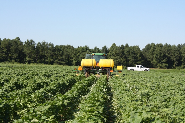 Consider Post-Direct and Hooded Applications for Cotton Layby - Cotton ...