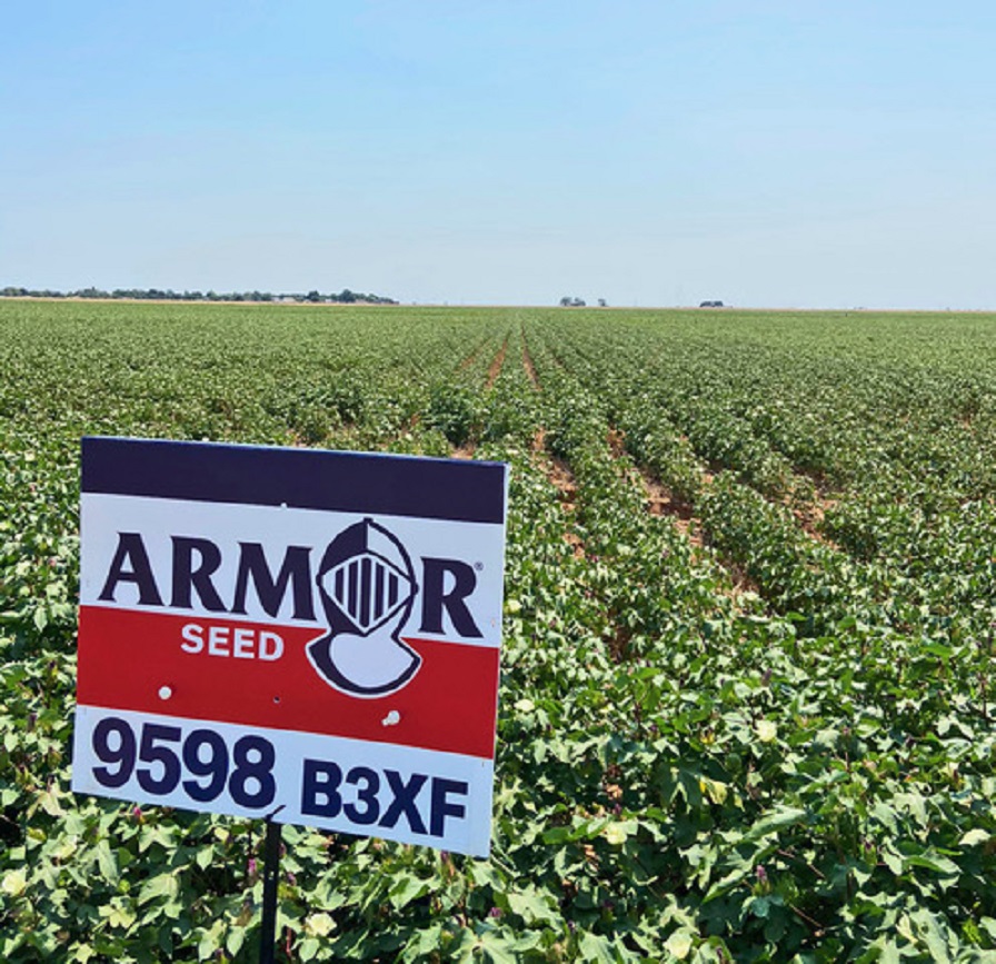 Seed Company Review: New Name, Strong Varieties Lead Armor into 2021 ...