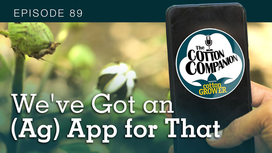 We've Got an (Ag) App for That - Cotton Grower