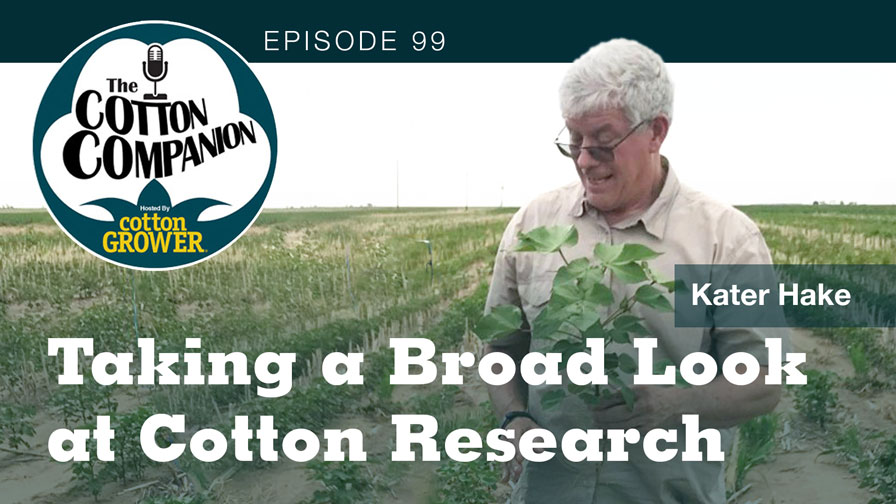 Taking a Broad Look at Cotton Research - Cotton Grower
