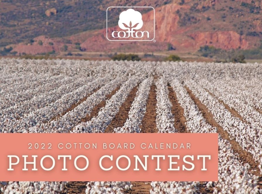 Cotton Board Contest Searching for Calendar Photos - Cotton Grower
