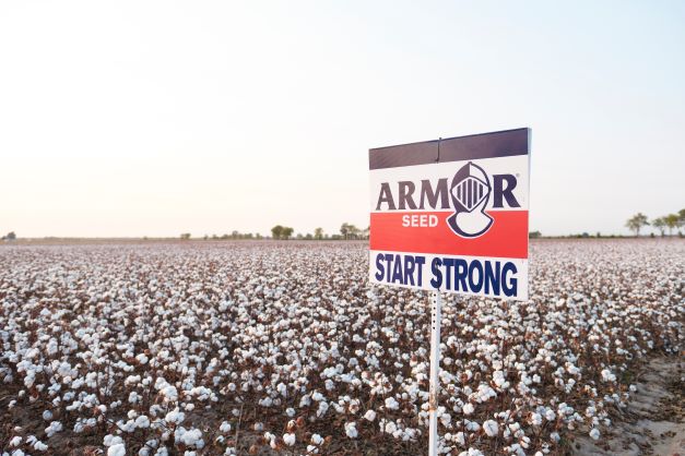Positive Growth Continues for Armor in Cotton - Cotton Grower