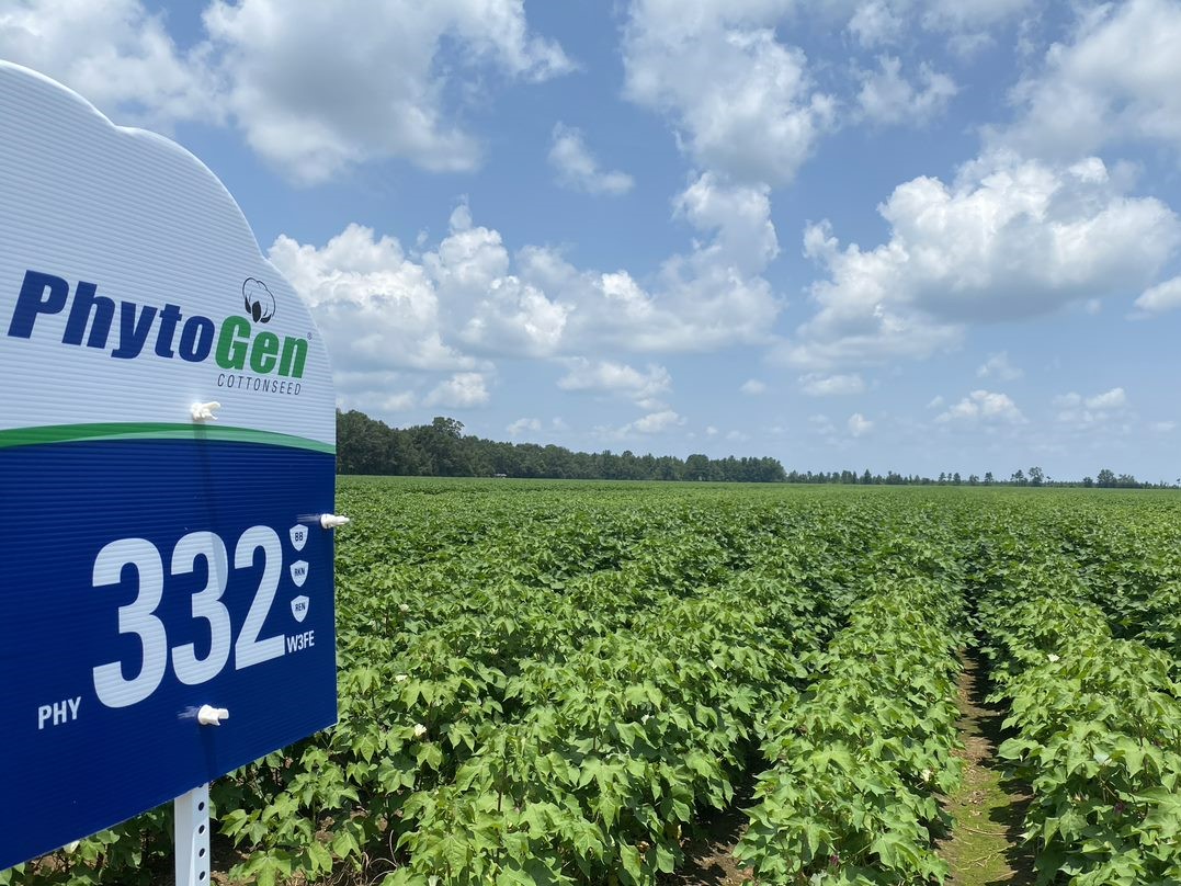 PhytoGen Focused on Breeding Traits - Cotton Grower