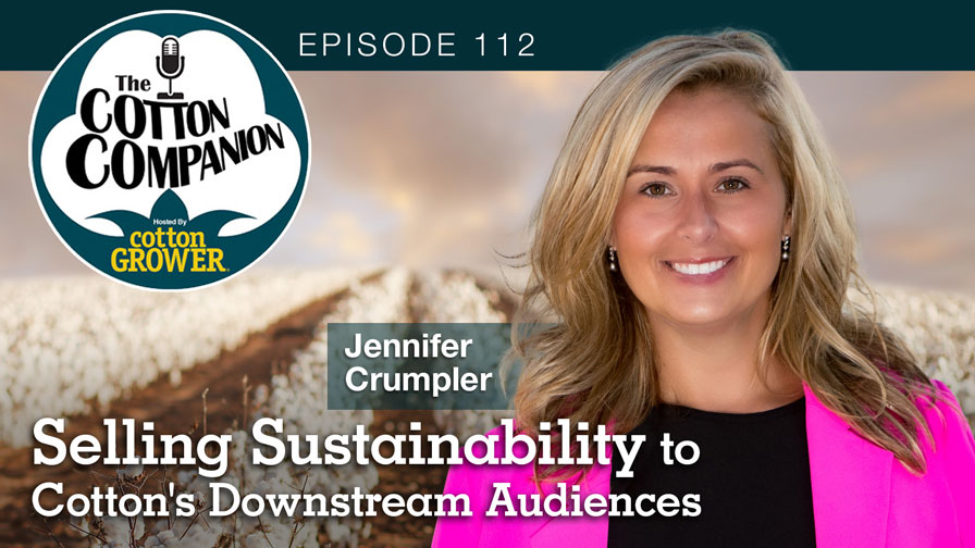 Selling Sustainability to Cotton's Downstream Audiences - Cotton Grower
