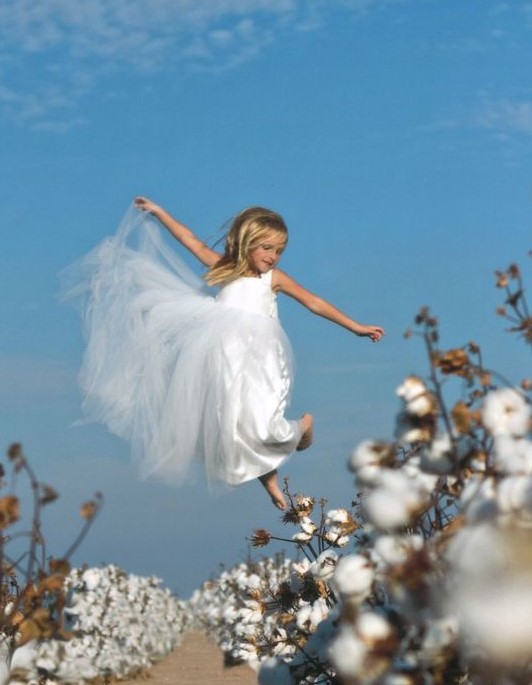 Texas Family Provides Winning Photo for BASF Cotton Seed Catalog ...