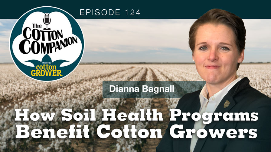 How Soil Health Programs Benefit Cotton Growers - Cotton Grower