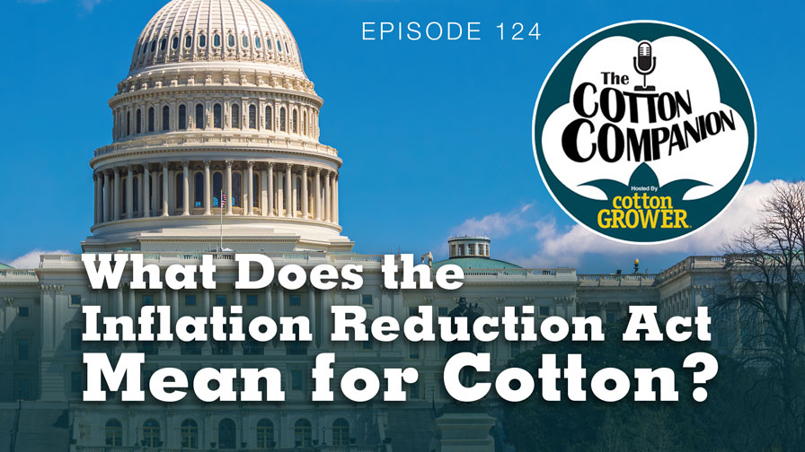 What Does the Inflation Reduction Act Mean for Cotton? - Cotton Grower