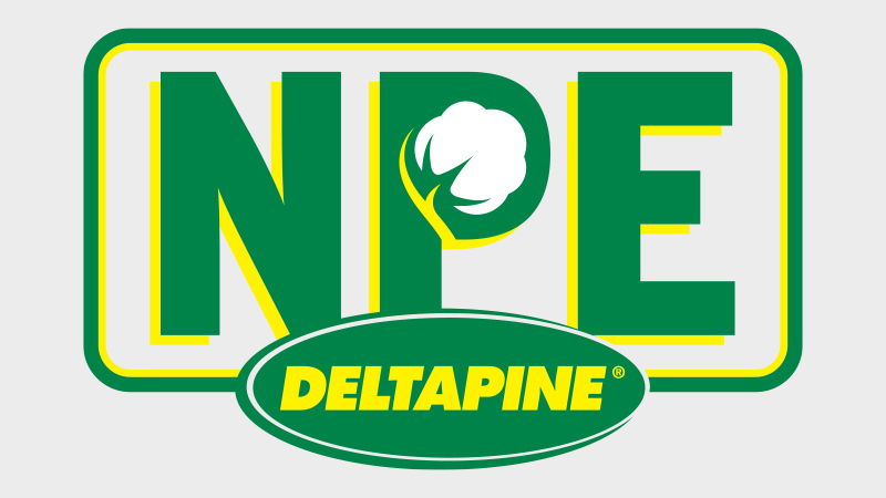 Deltapine Announces Grower-Proven Class of ’23 Cotton Varieties ...