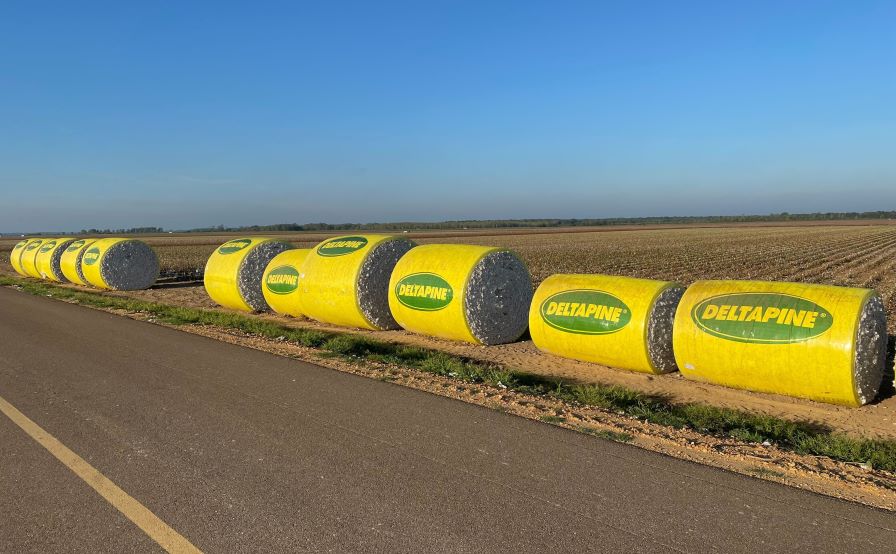 Tama USA and Deltapine Partner for Branded Module Wrap for NPE Growers ...