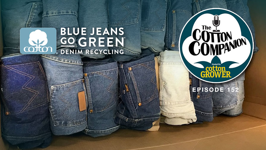 Cotton Companion Podcast: Finding New Life and New Uses for Old Cotton ...