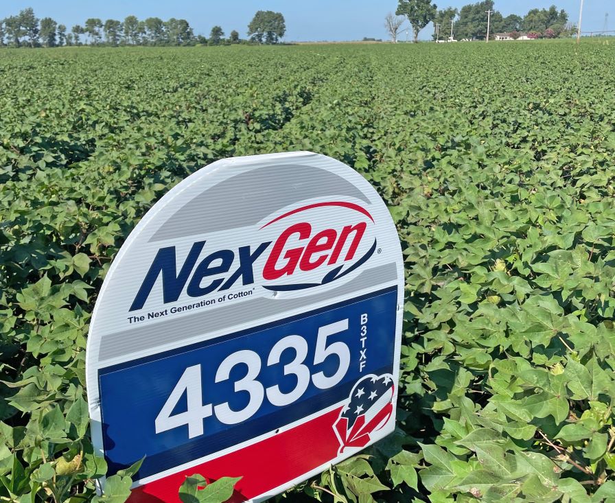 Americot Keeps Focus on Innovation and Choice - Cotton Grower
