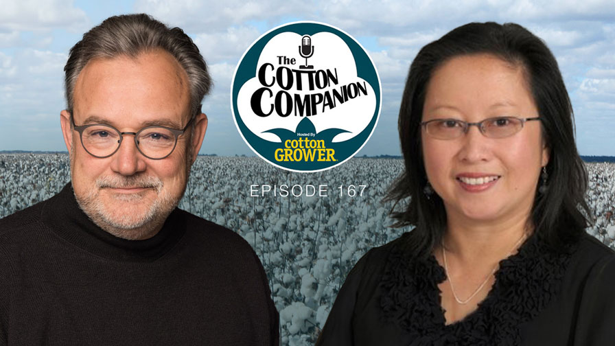 Cotton Picking Robots? - Cotton Grower