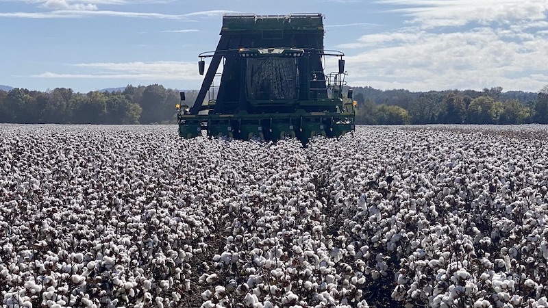 Nutrien Ag Solutions Adds N-FINITY Nitrogen Management Technology ...