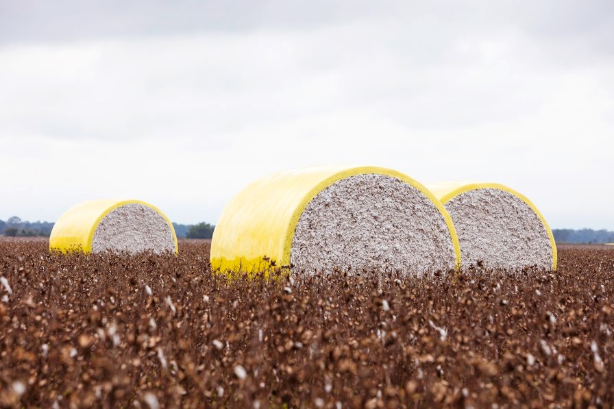 The Cotton Haul of Fame: FiberMax One Ton Club Enrollment Now Open ...