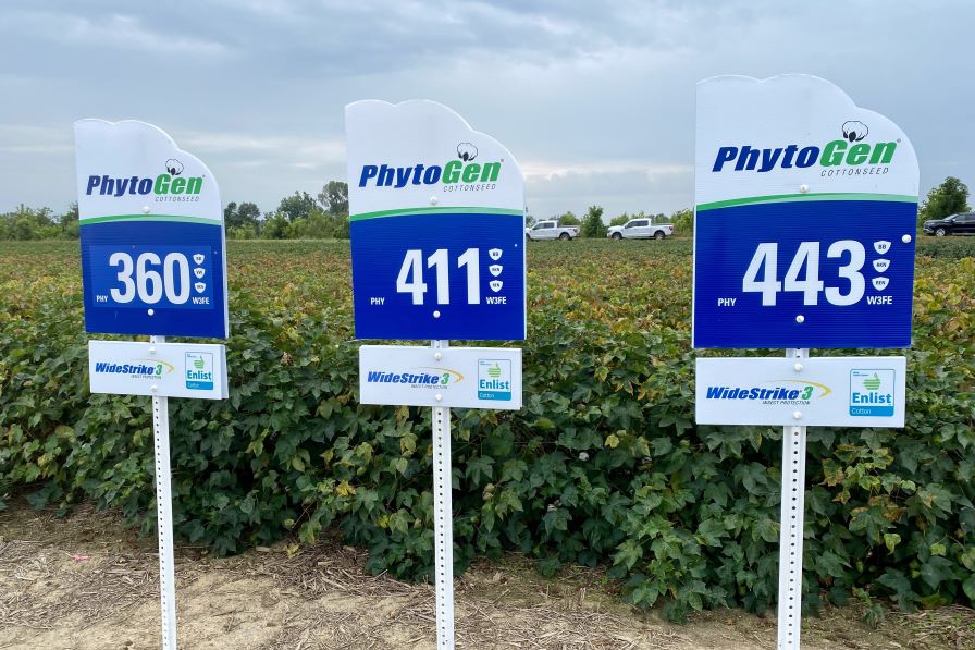 PhytoGen Finding a Broad Fit Across the Cotton Belt - Cotton Grower