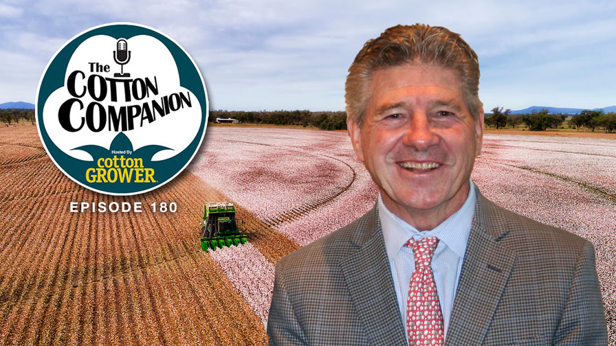 Cotton Companion: Cotton's 2025 Outlook for the U.S., the World...and ...