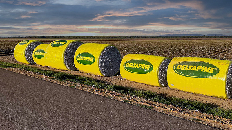 Dr. Jane Dever Inducted into Cotton Research and Promotion Hall of Fame ...