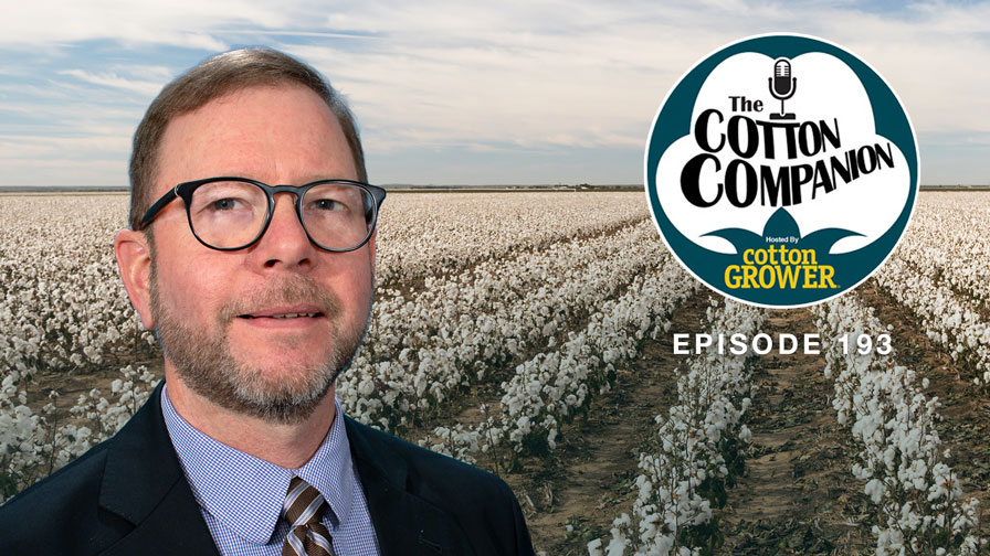 ADM, PYCO Industries Launch Cottonseed Processing Joint Venture ...