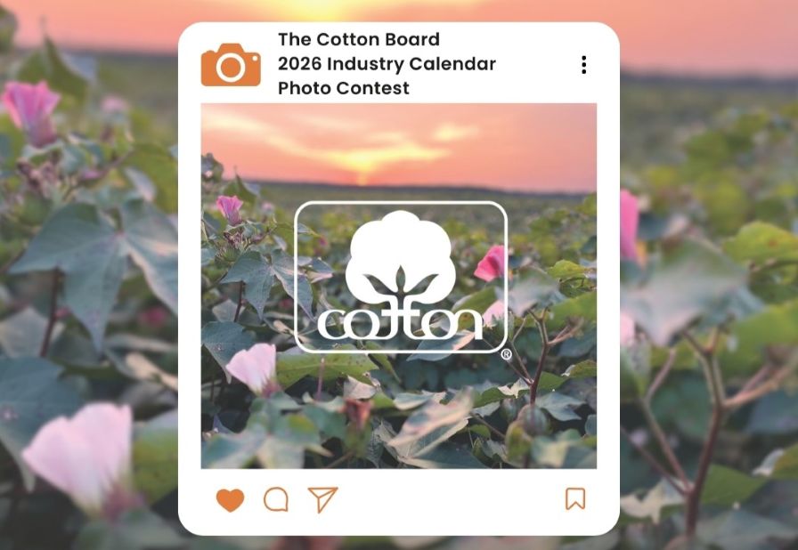 ADM, PYCO Industries Launch Cottonseed Processing Joint Venture ...