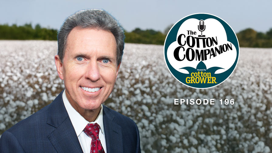 USDA Prospective Plantings: 9.87 Million Cotton Acres in 2025 - Cotton ...