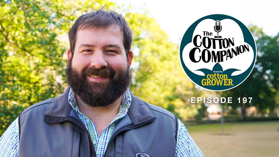 ADM, PYCO Industries Launch Cottonseed Processing Joint Venture ...