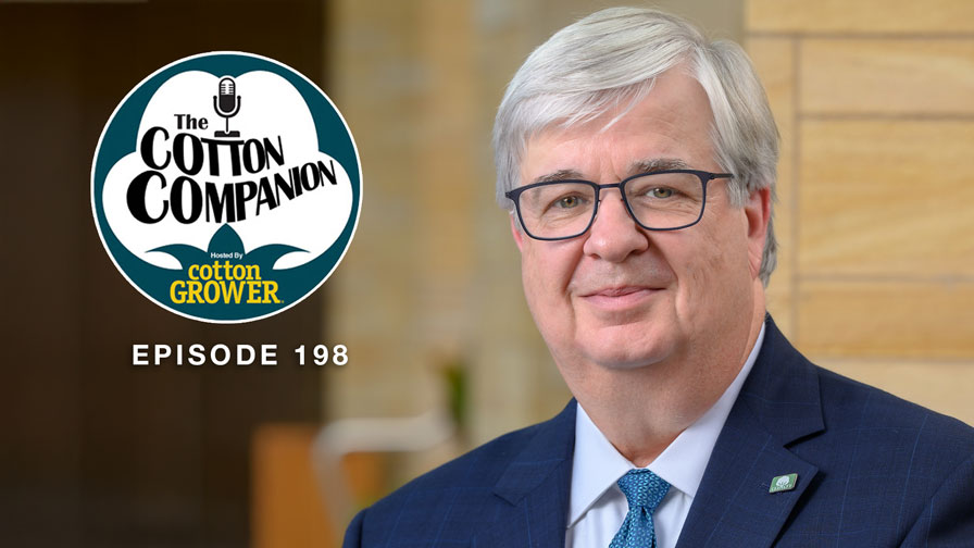 Cotton Companion: Cotton Promotion Program Evolving for a Changed World ...