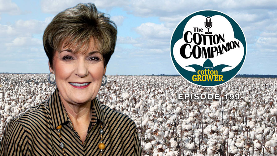 ADM, PYCO Industries Launch Cottonseed Processing Joint Venture ...