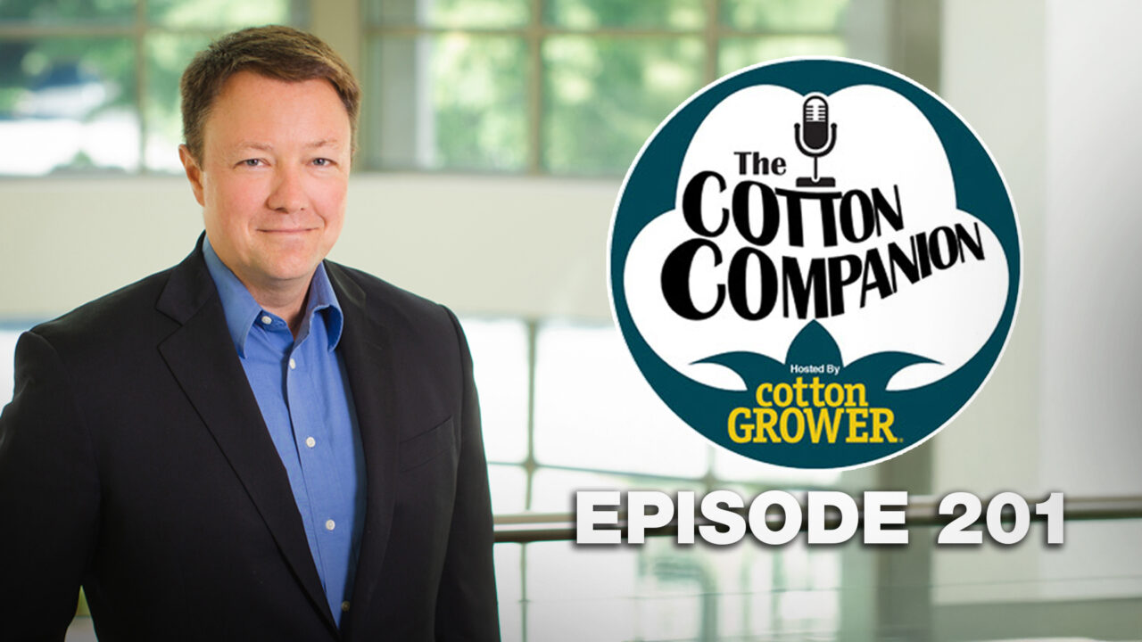 Cotton Board Approves Cotton Incorporated 2026 Budget; Elects New ...