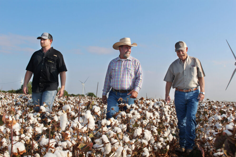McNair Family Produces a Century of Cotton in the Coastal Bend - Cotton ...