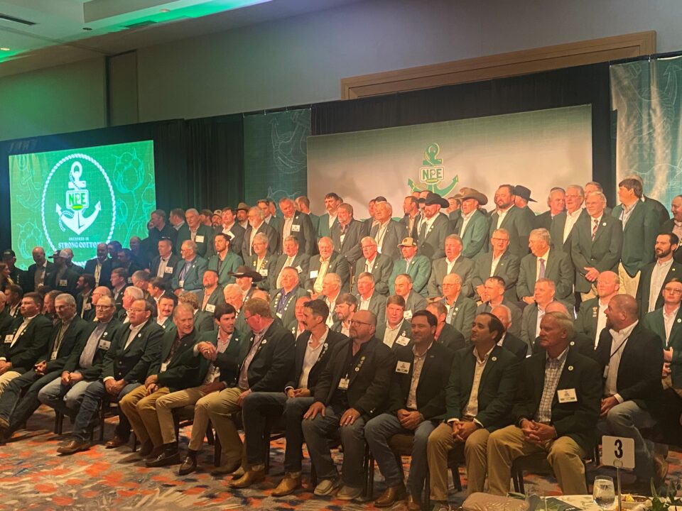 Cotton Board Approves Cotton Incorporated 2026 Budget; Elects New ...