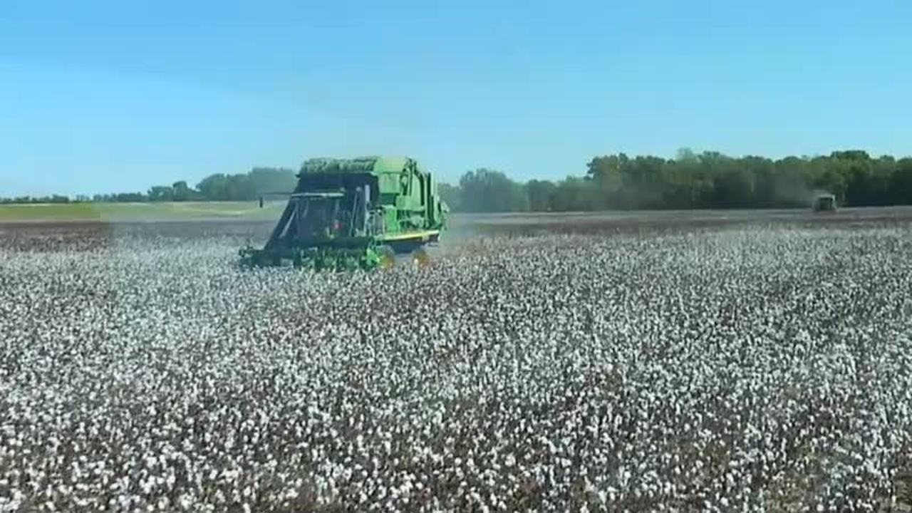 Leading the Way to a More Sustainable World - Cotton Grower